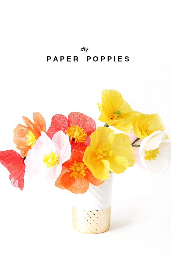 Flower Friday: DIY Paper Poppies - Why Don't You Make Me?
