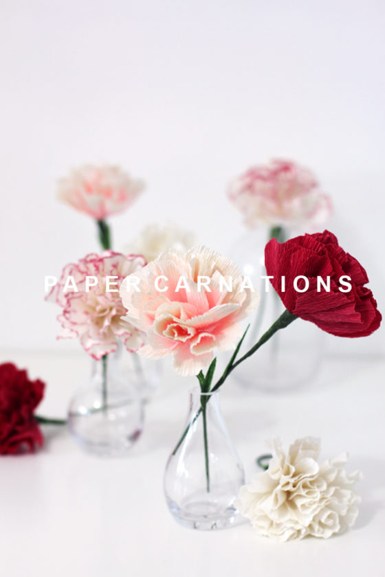 Flower Friday: DIY Paper Carnations - Why Don't You Make Me?